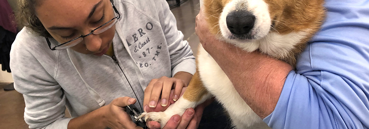 Capital Region BOCES